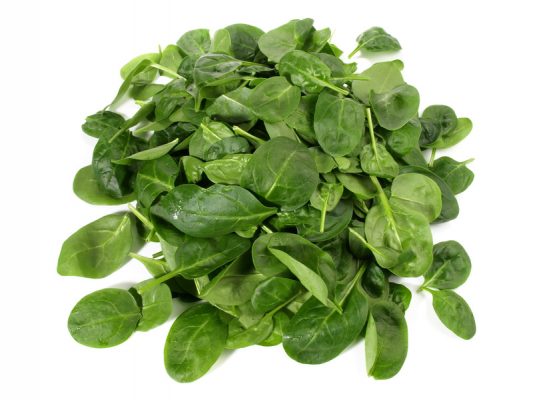 Babyspinat Styropor | Obst Lallinger